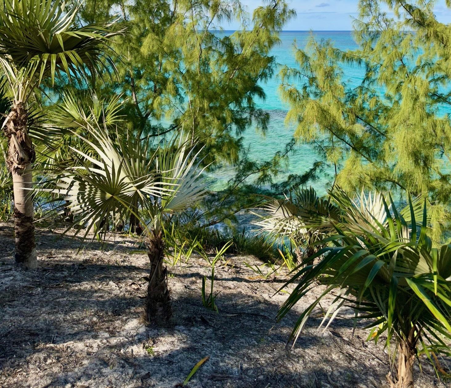 Eleuthera, The Bahamas