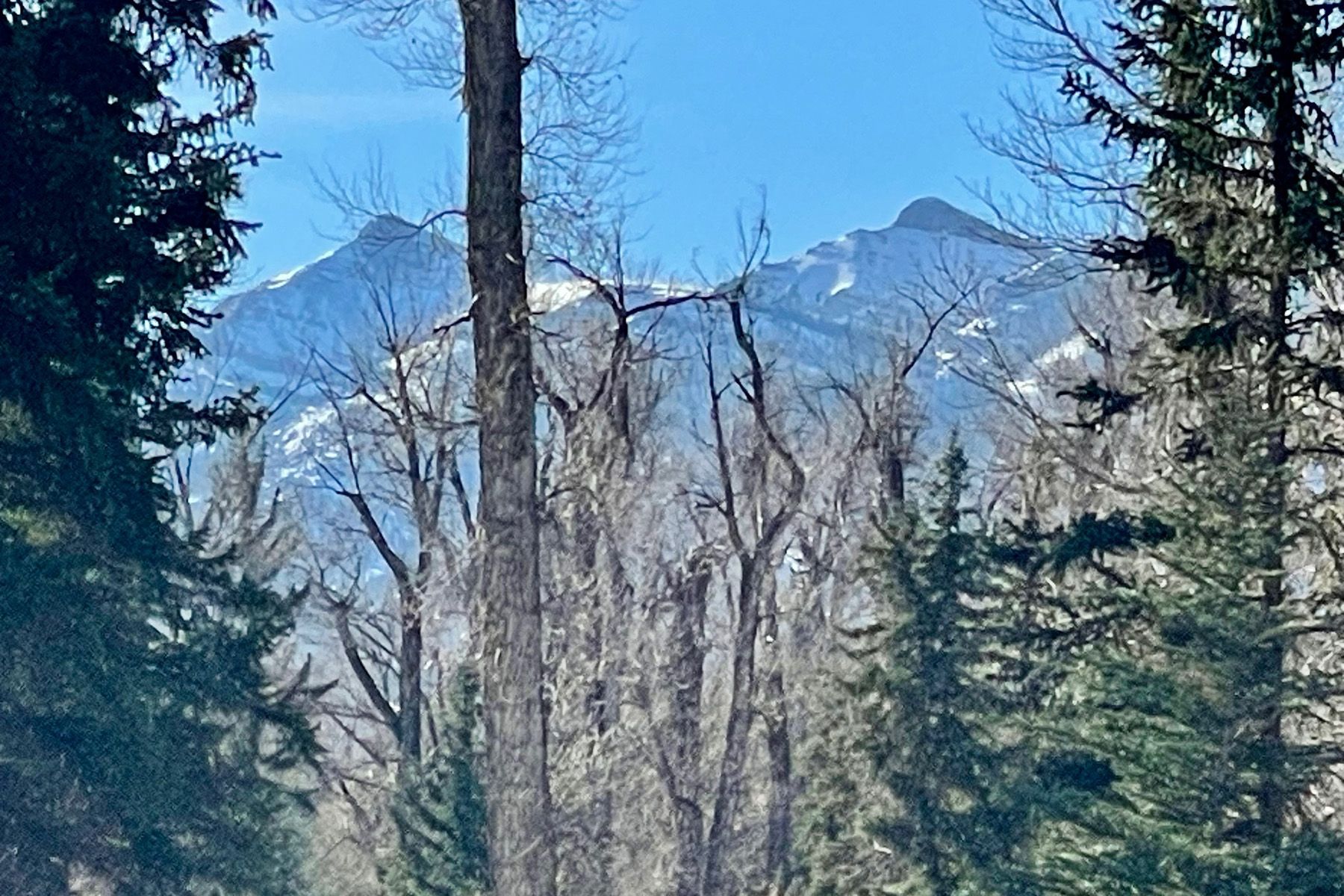 250 E Phelps Canyon Rd, Jackson, WY 83001