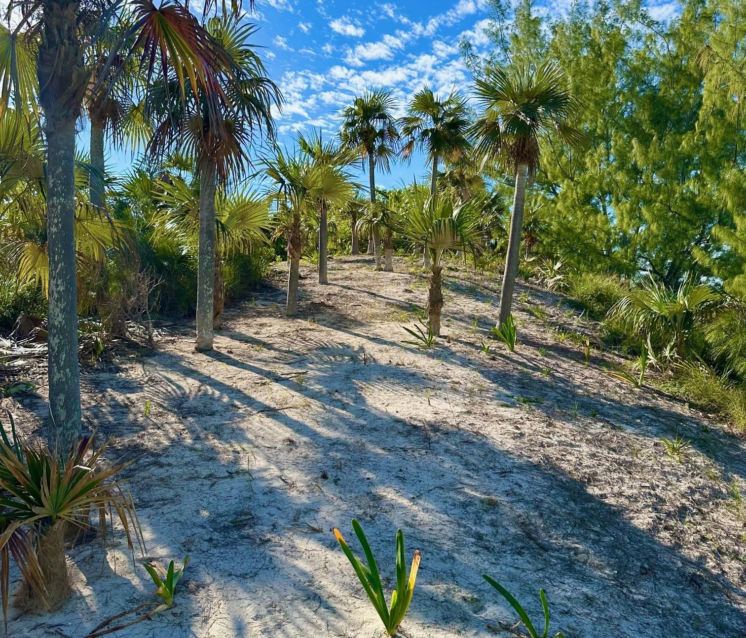 Eleuthera, The Bahamas