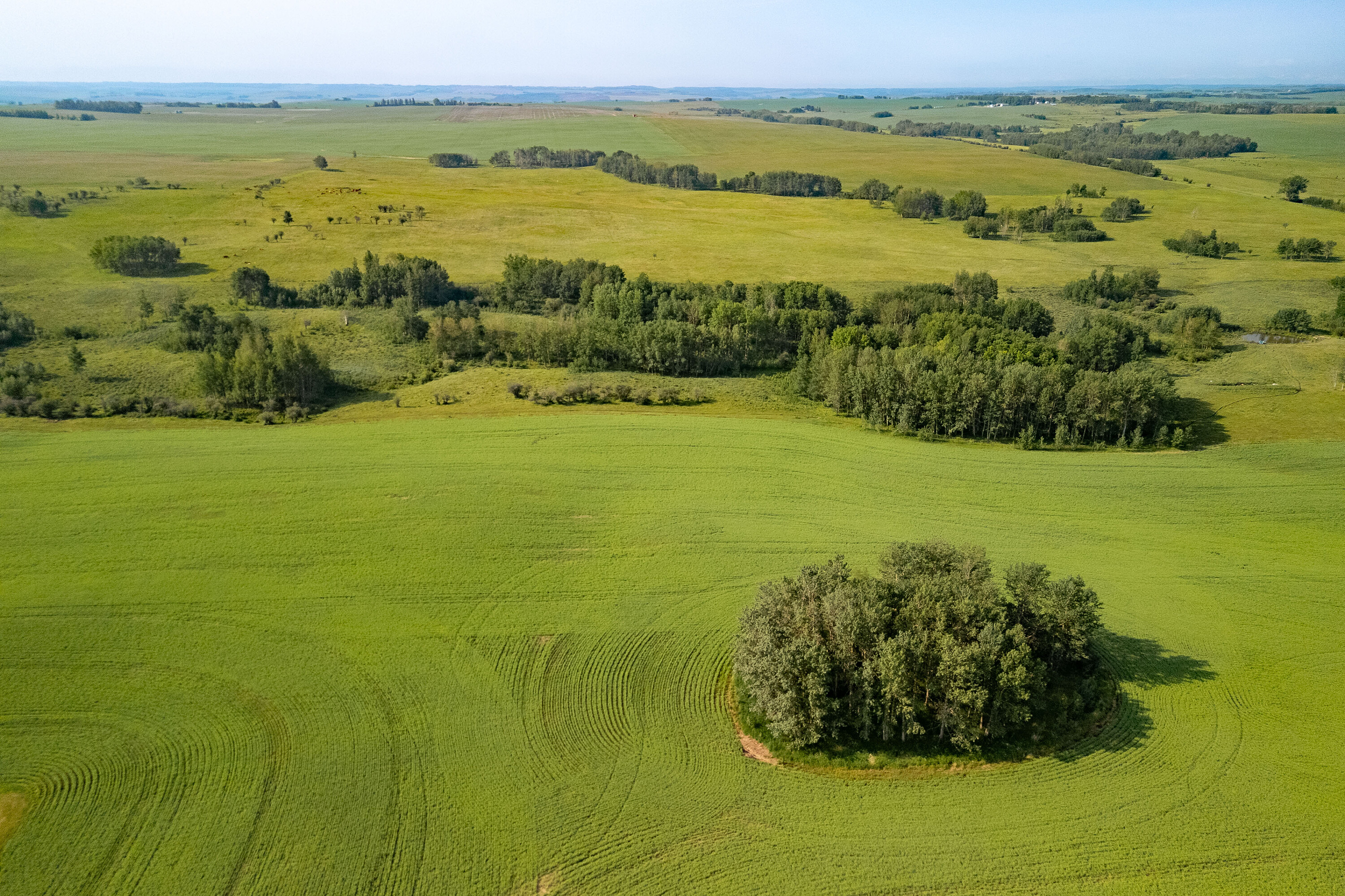 3245 Township Road 292, Madden, AB T0M 1L0, Canada