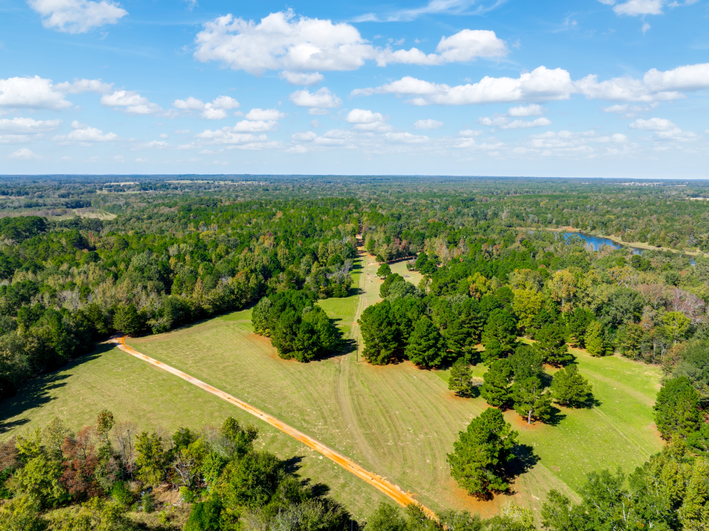 9444 FM 314, Ben Wheeler, TX 75754