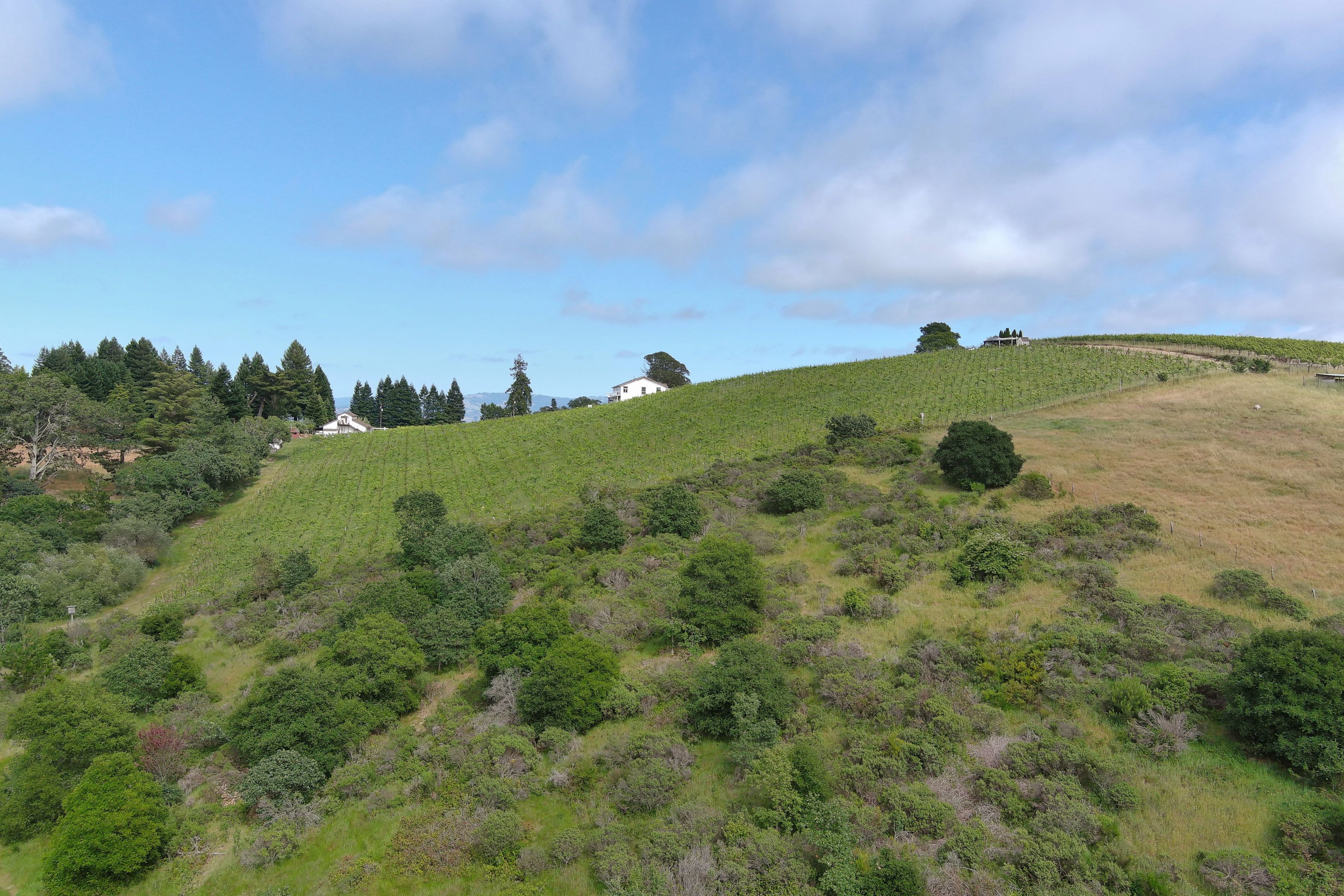 2930 Thorn Rd, Sebastopol, CA 95472-5344