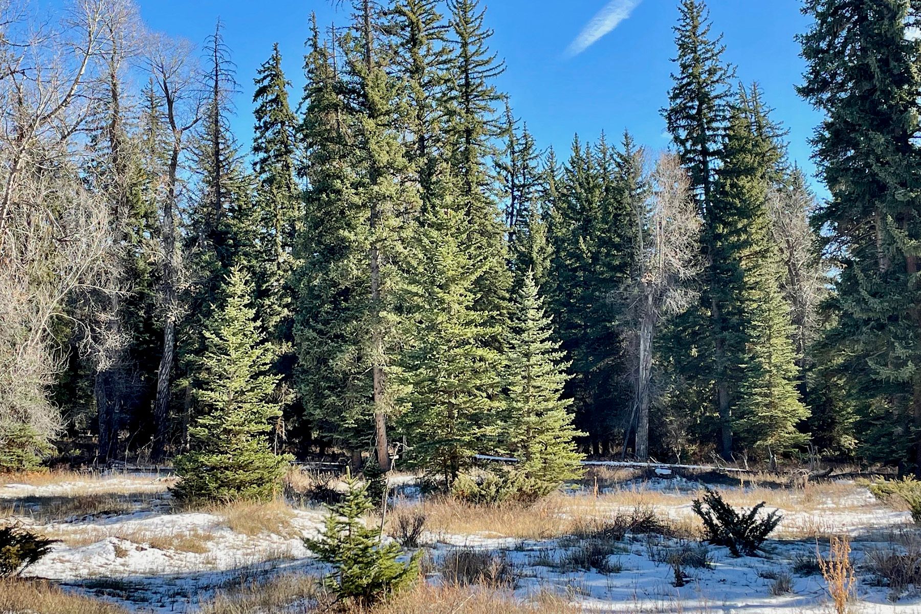 250 E Phelps Canyon Rd, Jackson, WY 83001